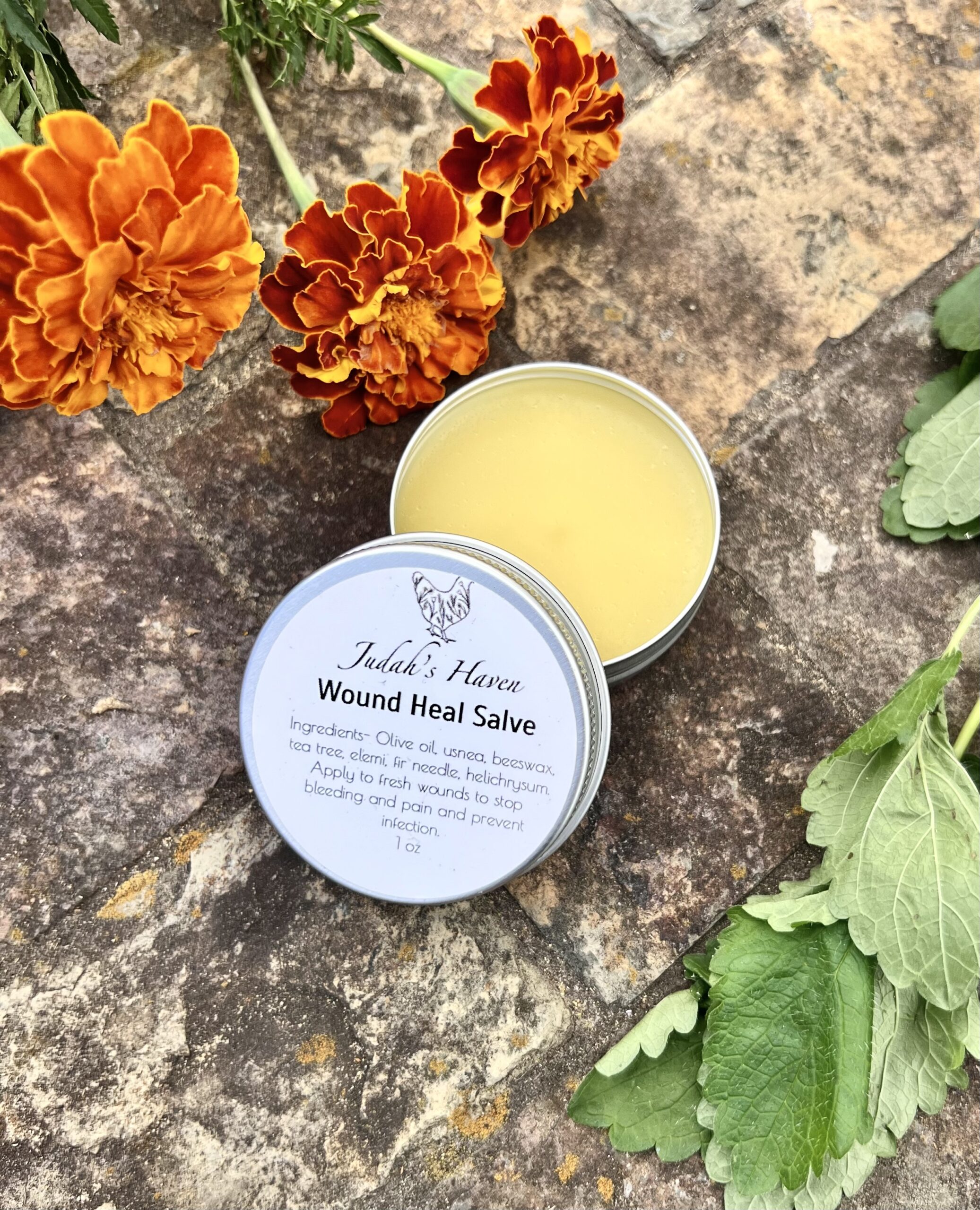 Wound Heal Salve Judah s Haven Wound Heal Salve Judah s Haven