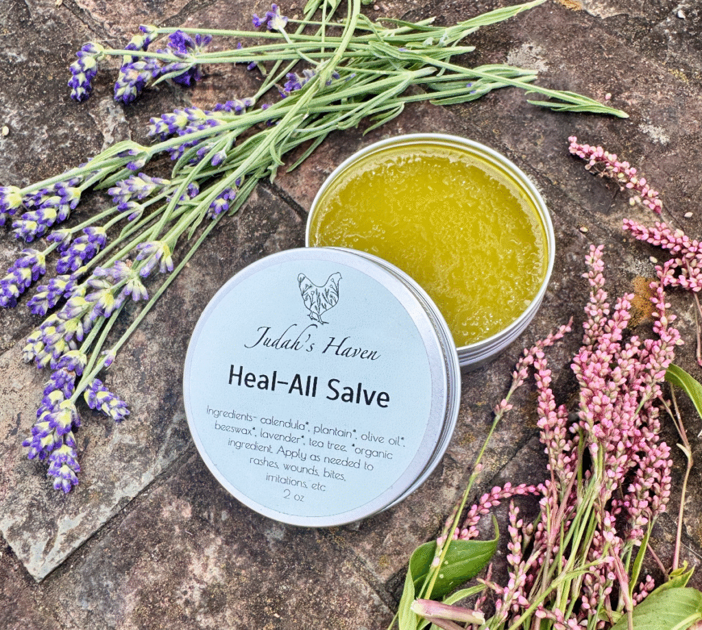 Heal All Salve - Judah's Haven